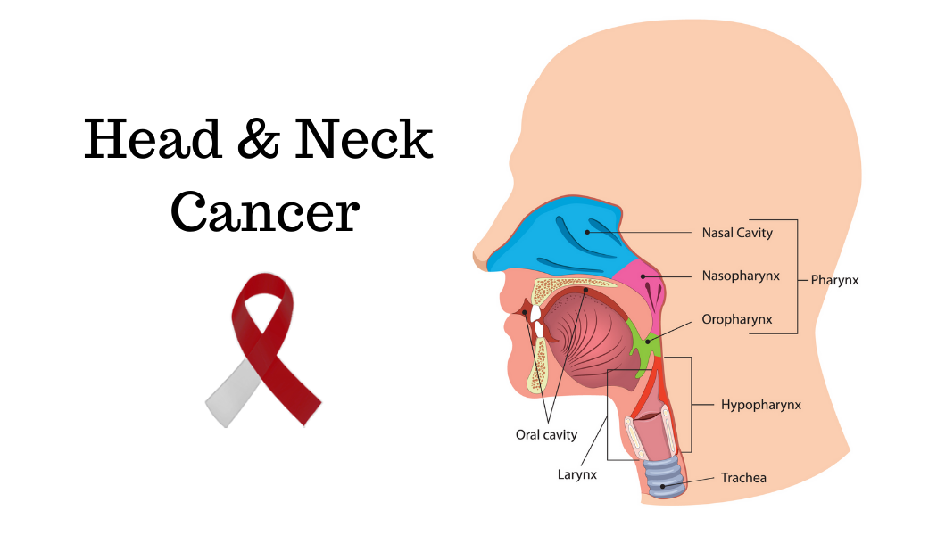 Head & Neck Cancer: Signs, Risks & Detection | Pacific View ENT